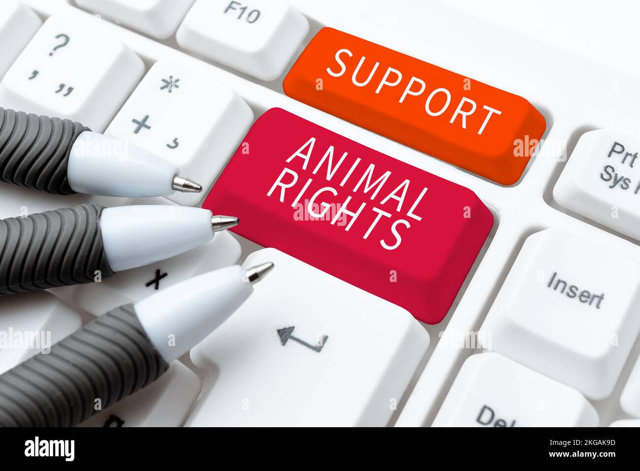 Handwriting text Support Animal Rights. Internet Concept protection and ...