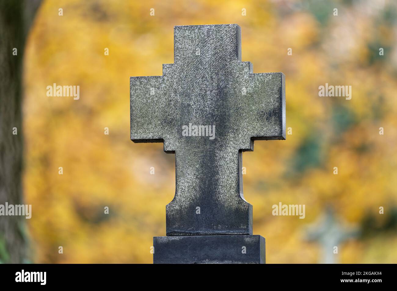 stone cross in a cemetery in front of autumn leaves in blurred ...