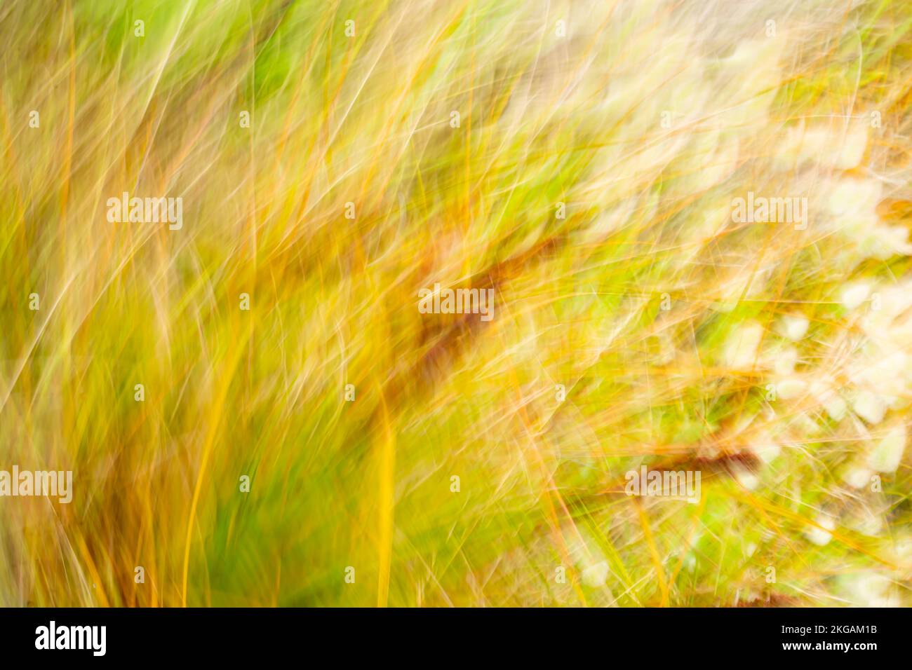 Swirling sand dune hi-res stock photography and images - Alamy
