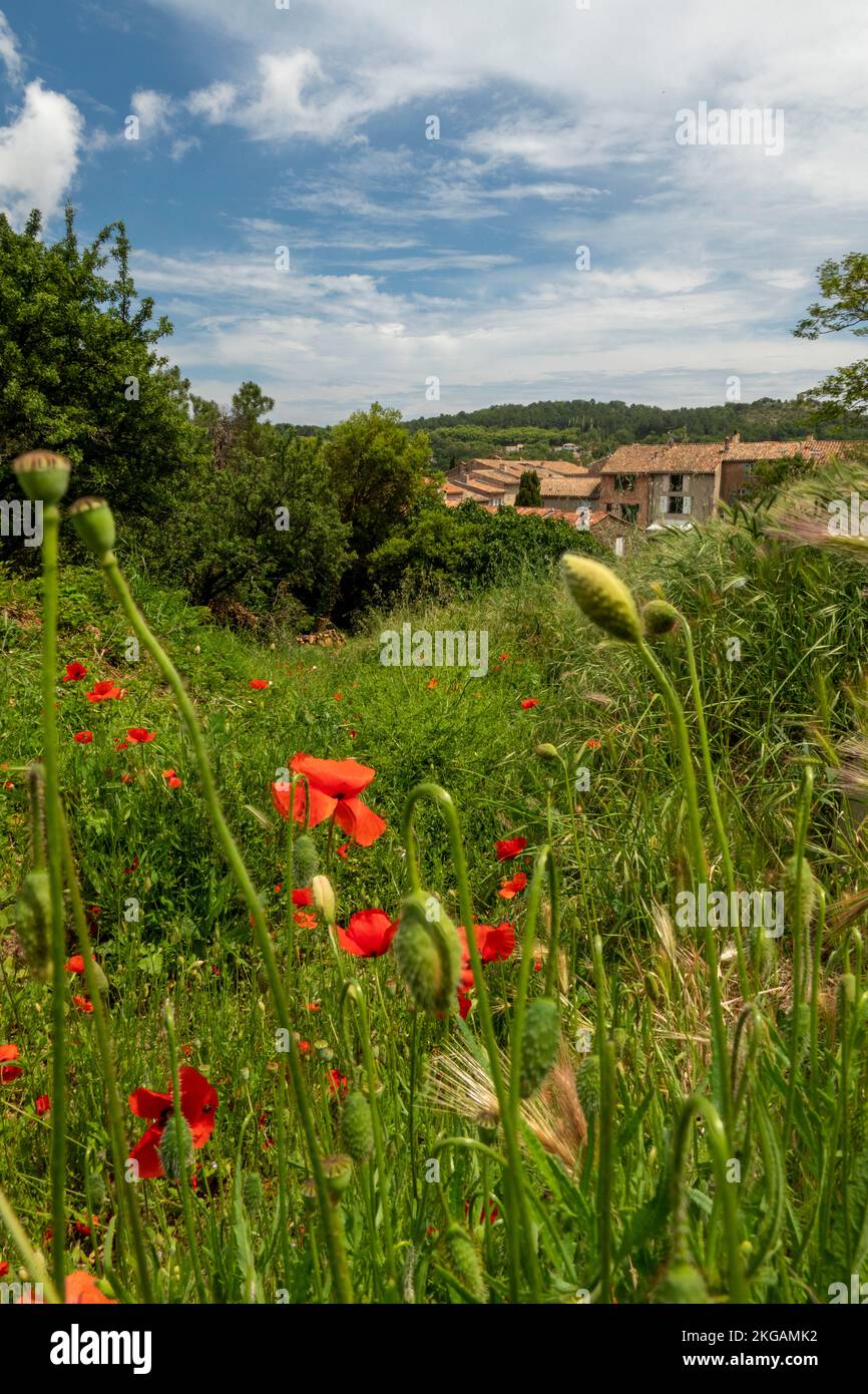 La Garde-Freinet village of the south of France, in the heart of Massif ...