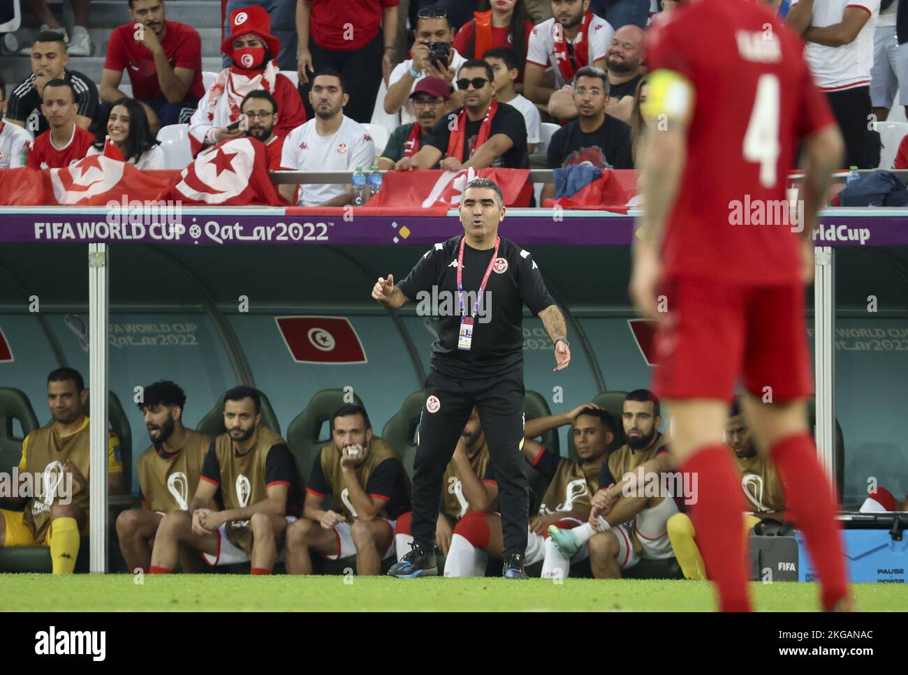 Coach of Tunisia Jalel Kadri during the FIFA World Cup 2022, Group D football match between ...