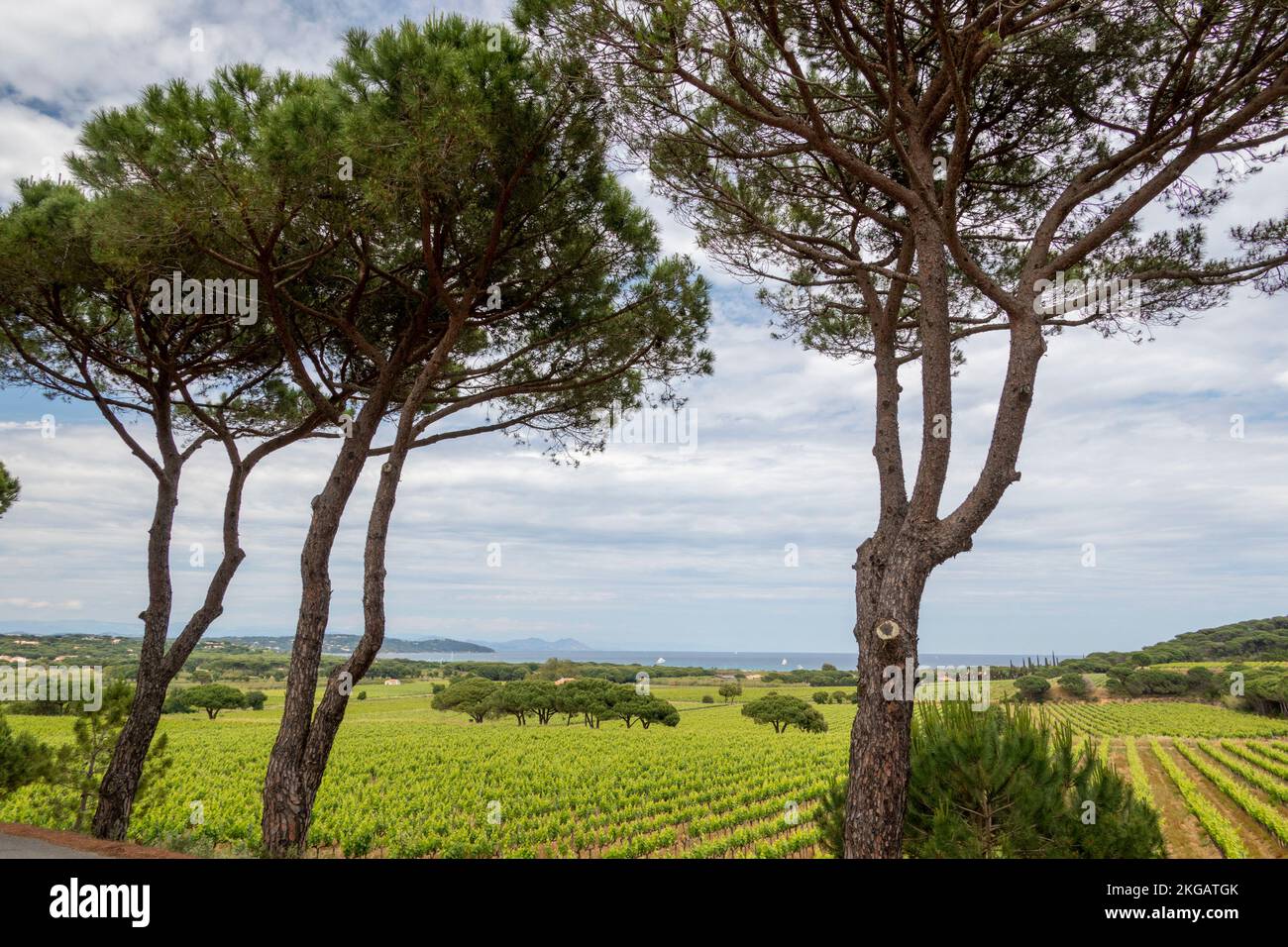 Chateau french riviera hi-res stock photography and images - Alamy