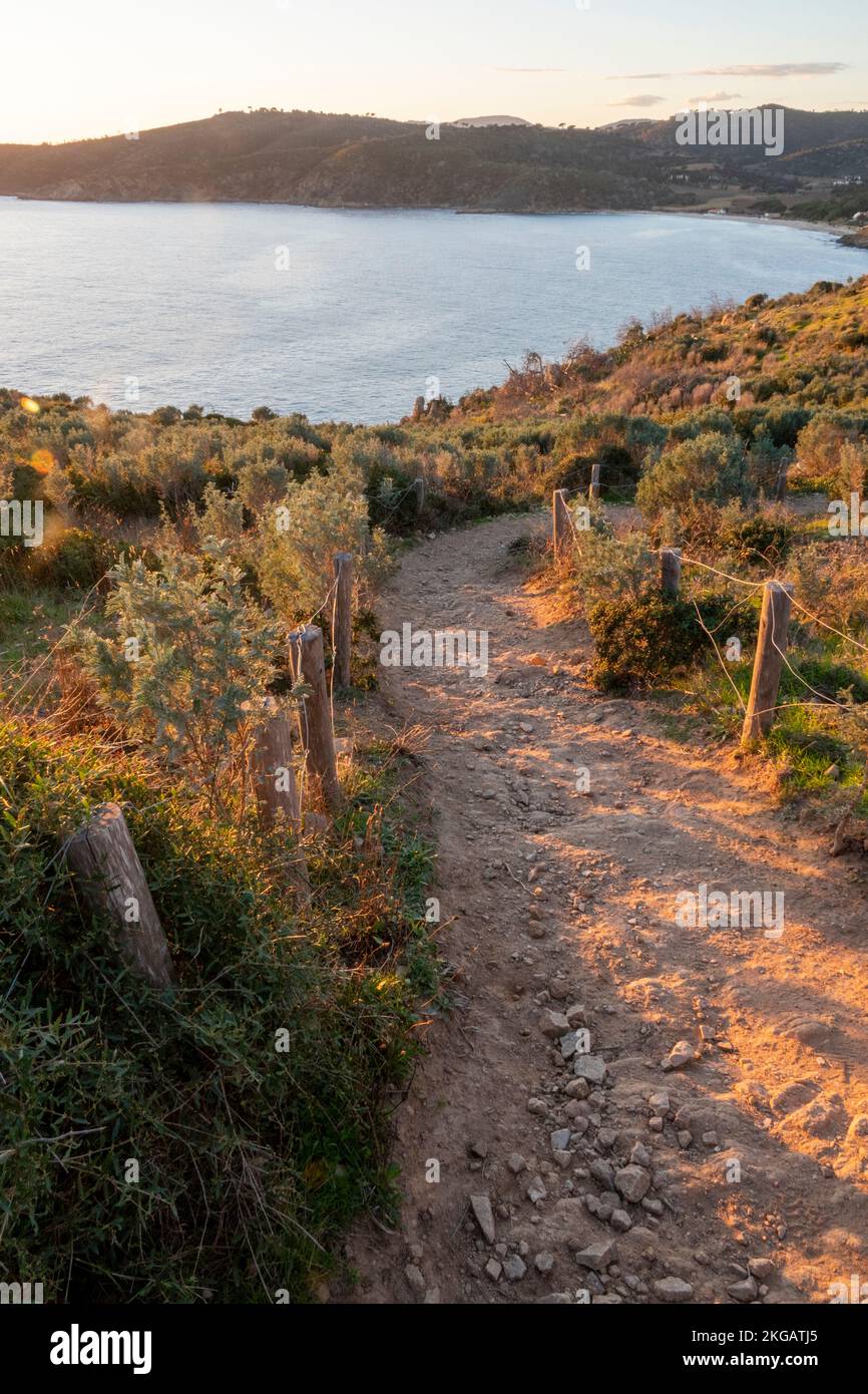 Mud path borded with wooden pillat Cape Taillat, in Ramatuelle, French ...