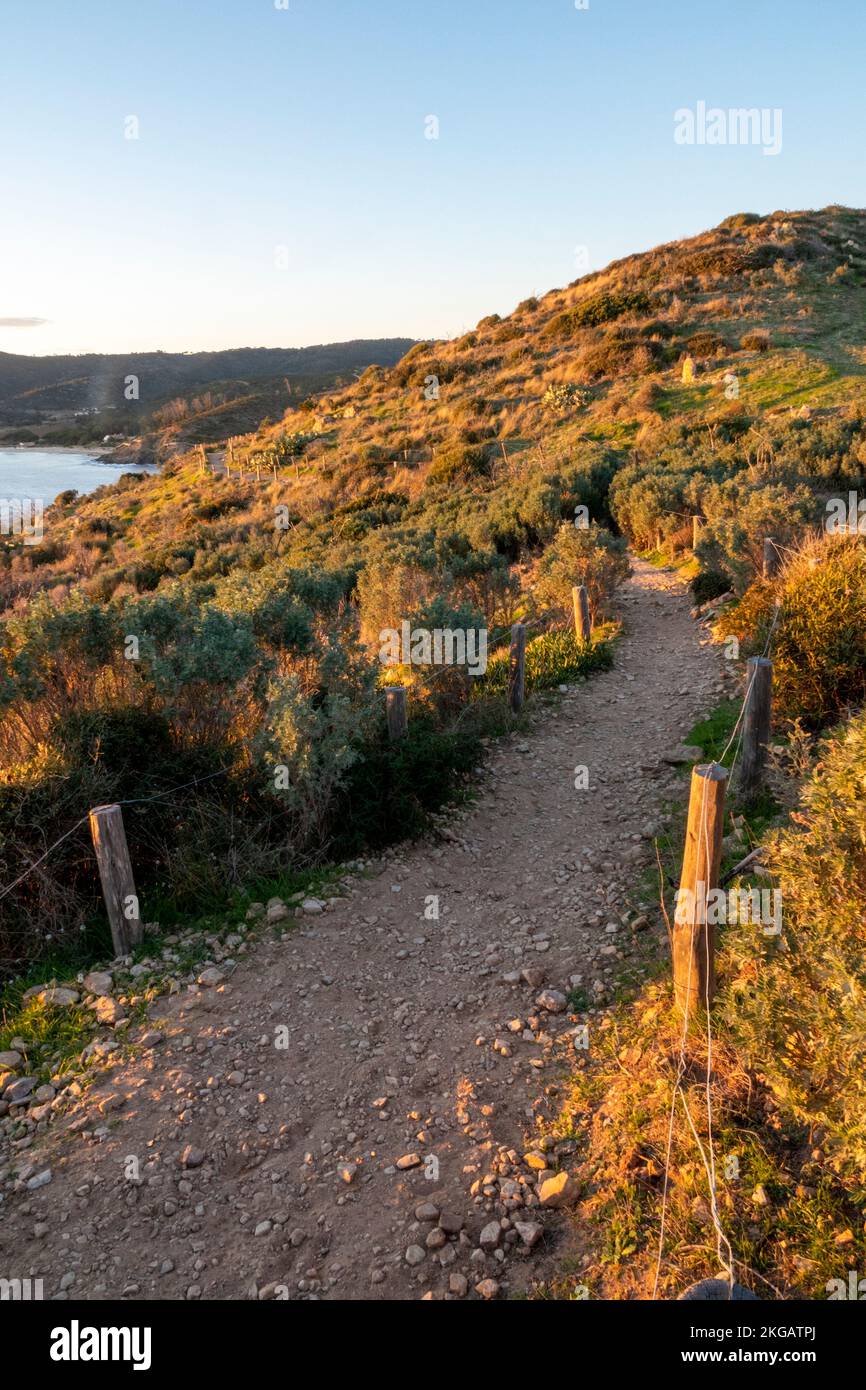 Mud path borded with wooden pillat Cape Taillat, in Ramatuelle, French ...
