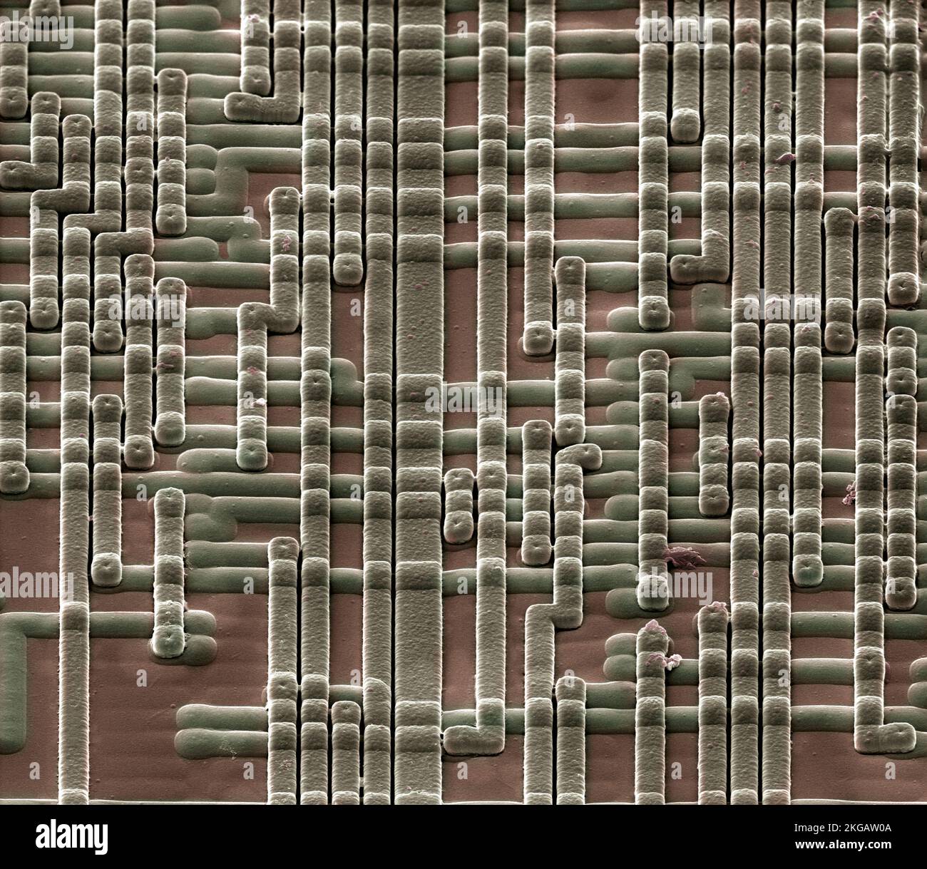 Coloured Scanning Electron Micrograph Sem Of The Structures Etched