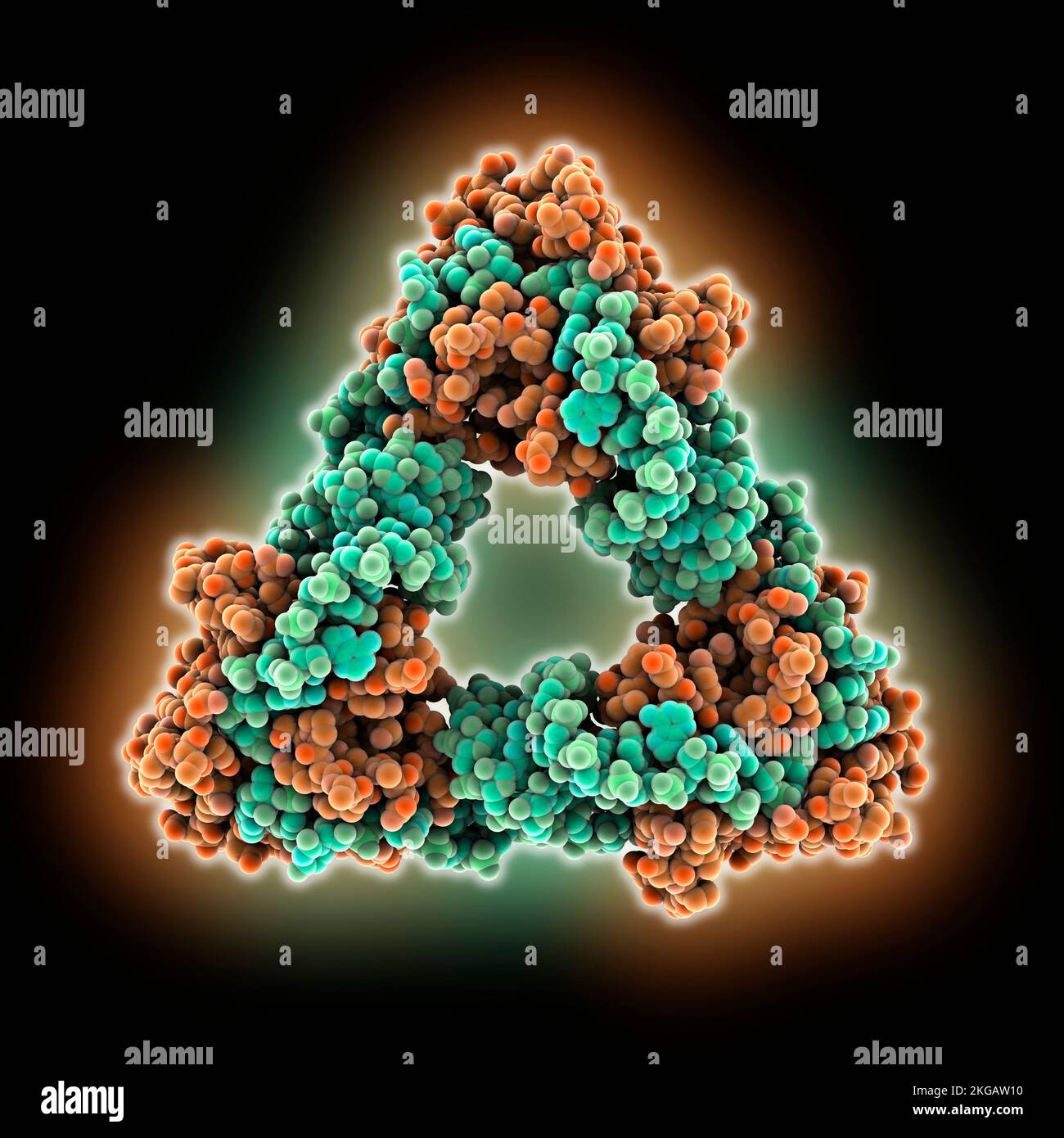 Type III toxin-antitoxin complex, molecular model. The image shows the ...
