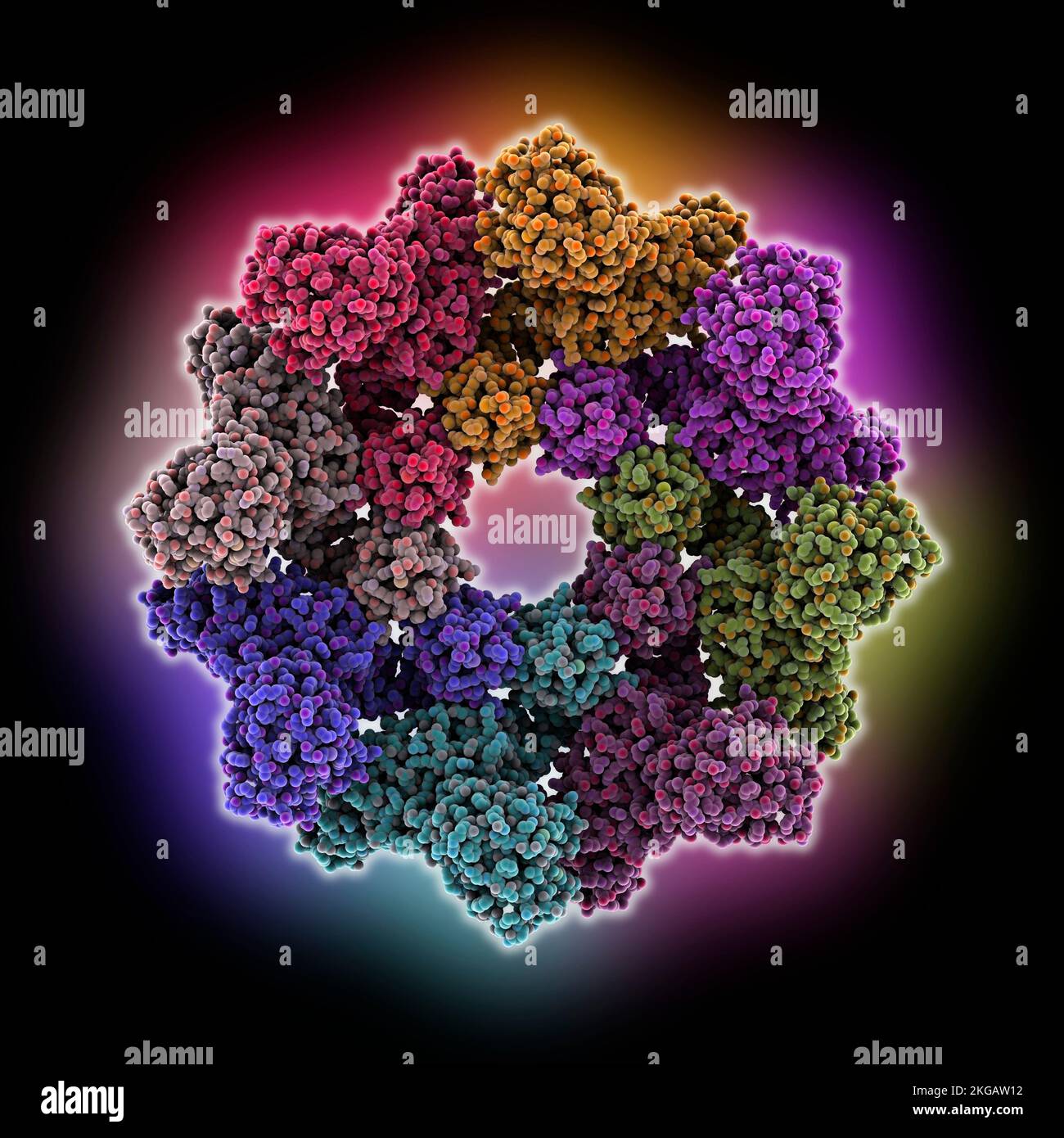 Human SARM1 octamer, molecular model. The NAD hydrolase SARM1 is the ...
