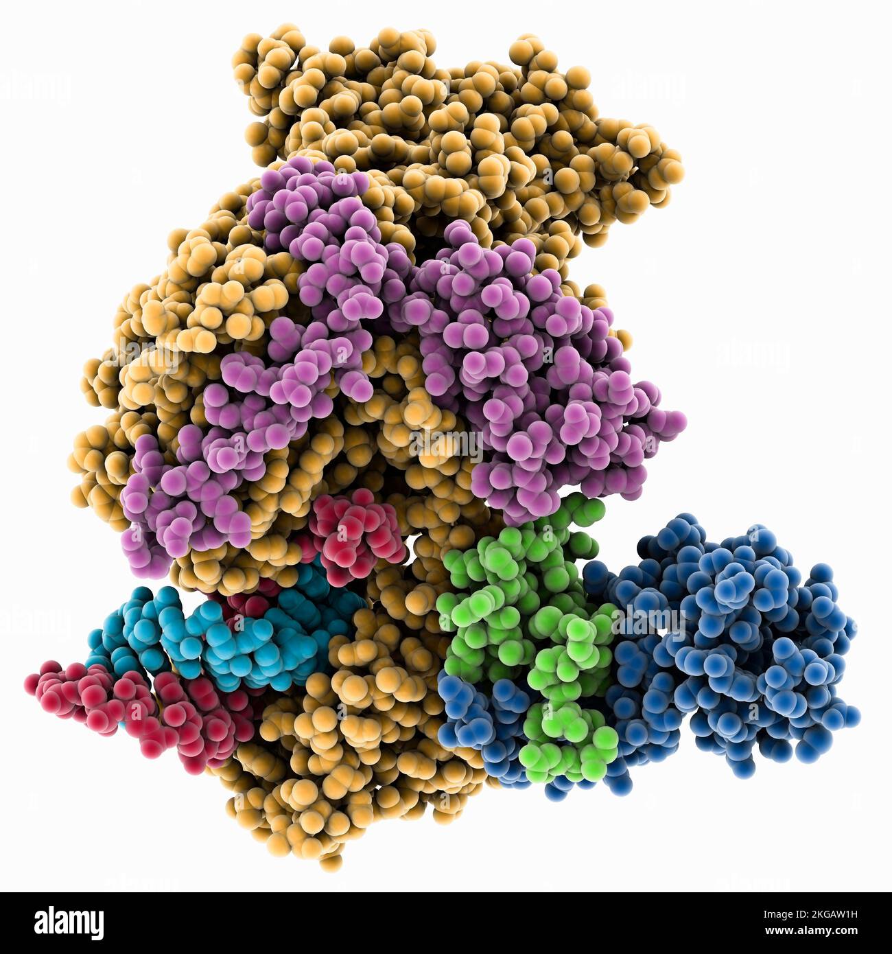 Covid-19 RNA-dependent RNA polymerase complexed with favipiravir ...
