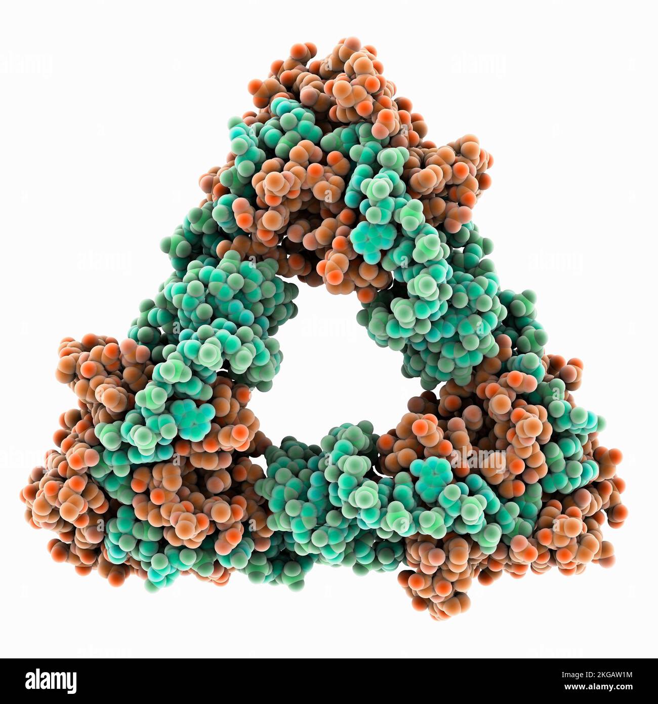 Type III toxin-antitoxin complex, molecular model. The image shows the ...