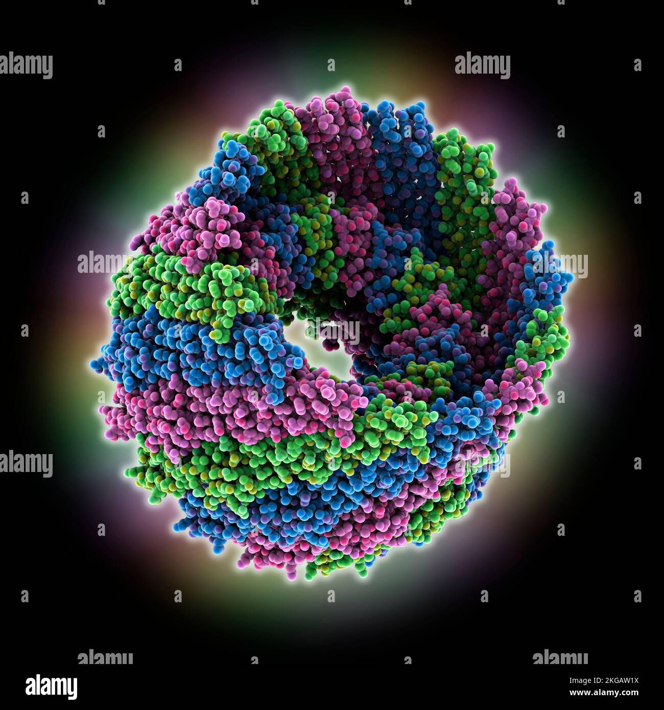 Outer membrane secretin pore pIV from the enterobacteria phage f1 ...