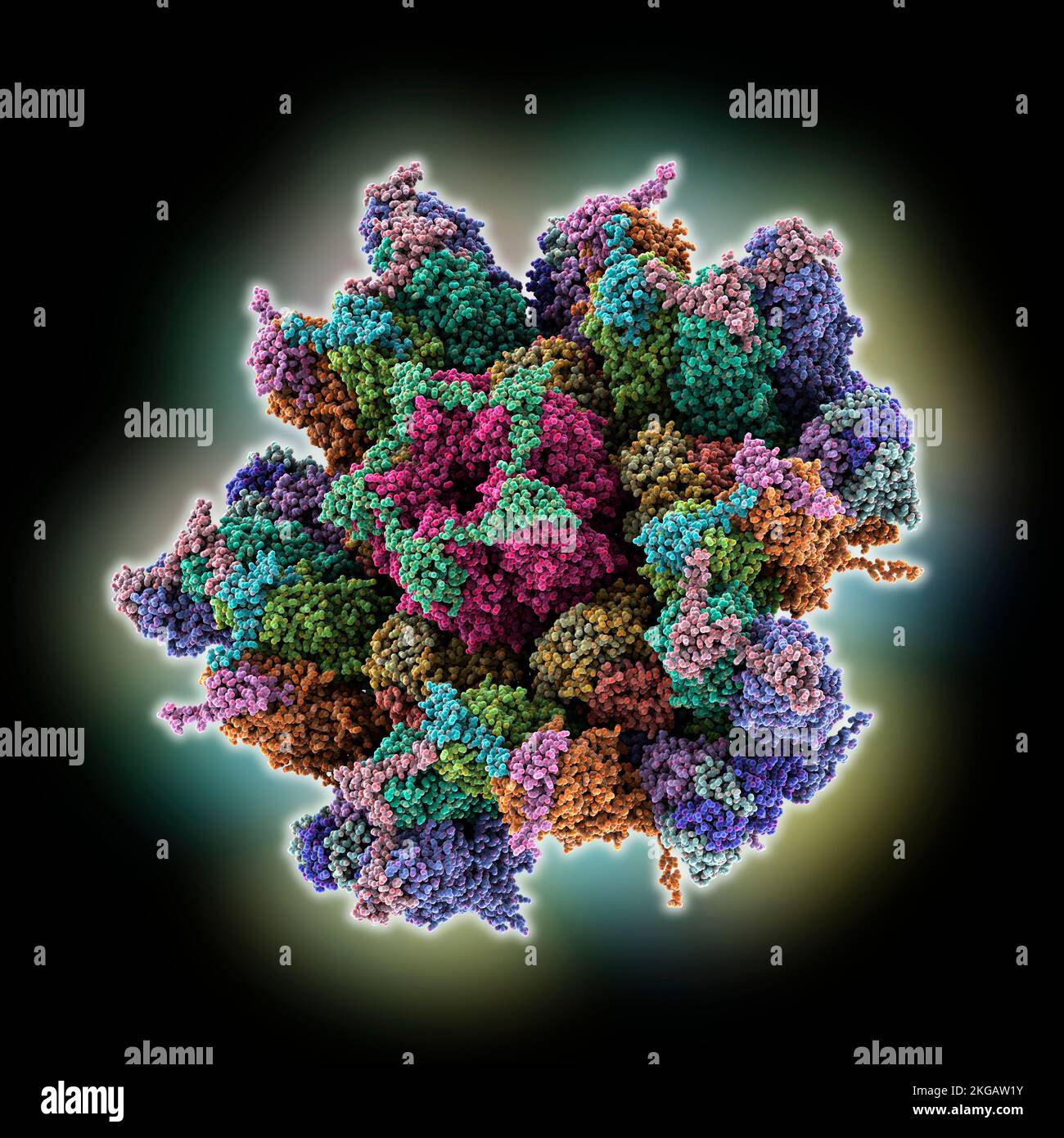 Moleculas De Proteinas Nucleic Acids And Molecular Genetics Clinical
