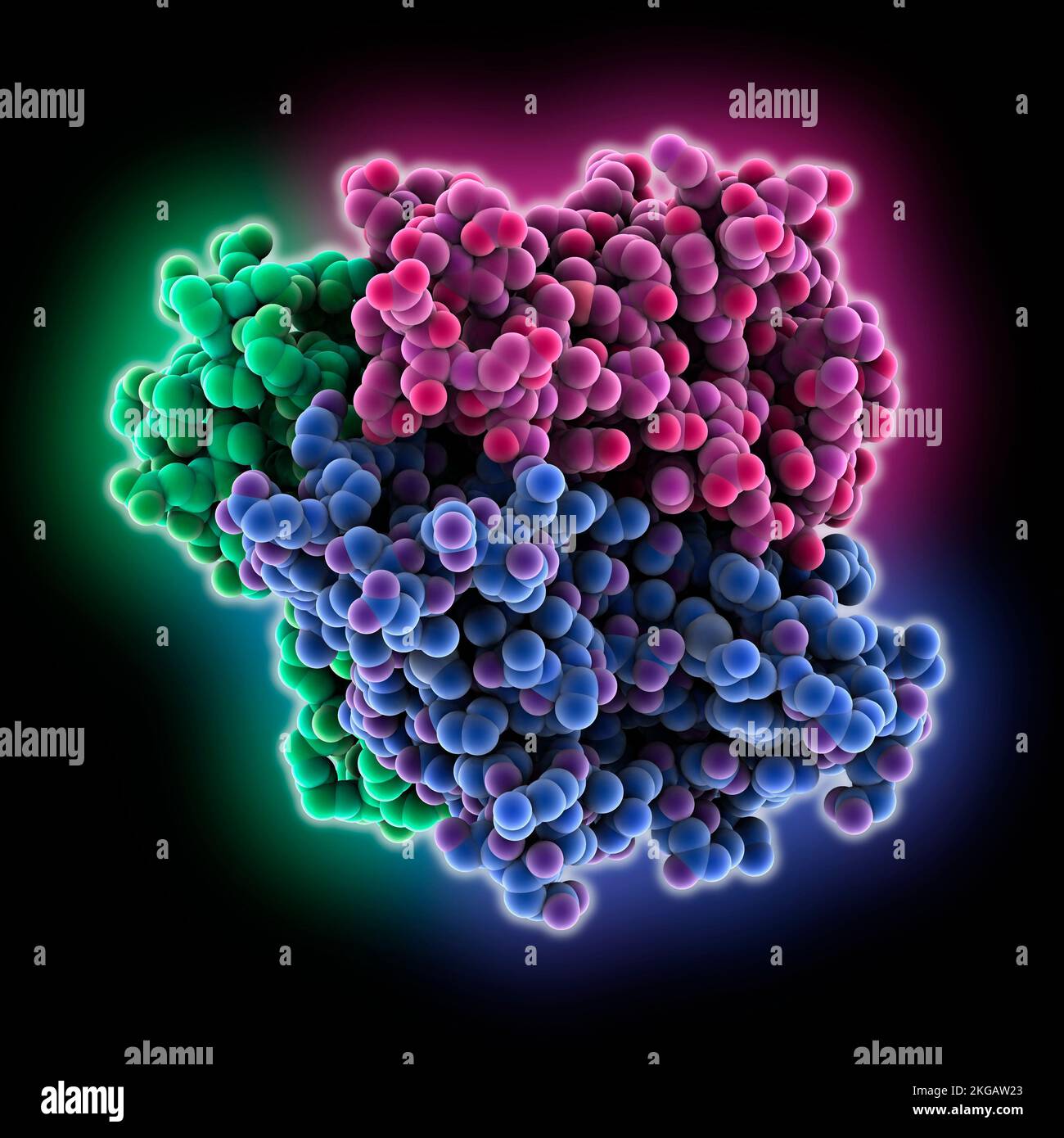 Zebrafish tumour necrosis factor alpha, molecular model. The image ...