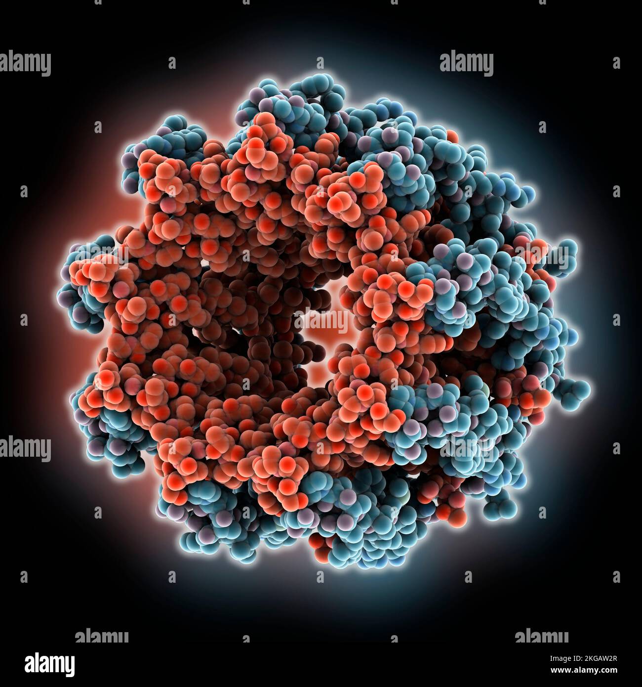 Light harvesting complex from Cereibacter sphaeroides, molecular model ...