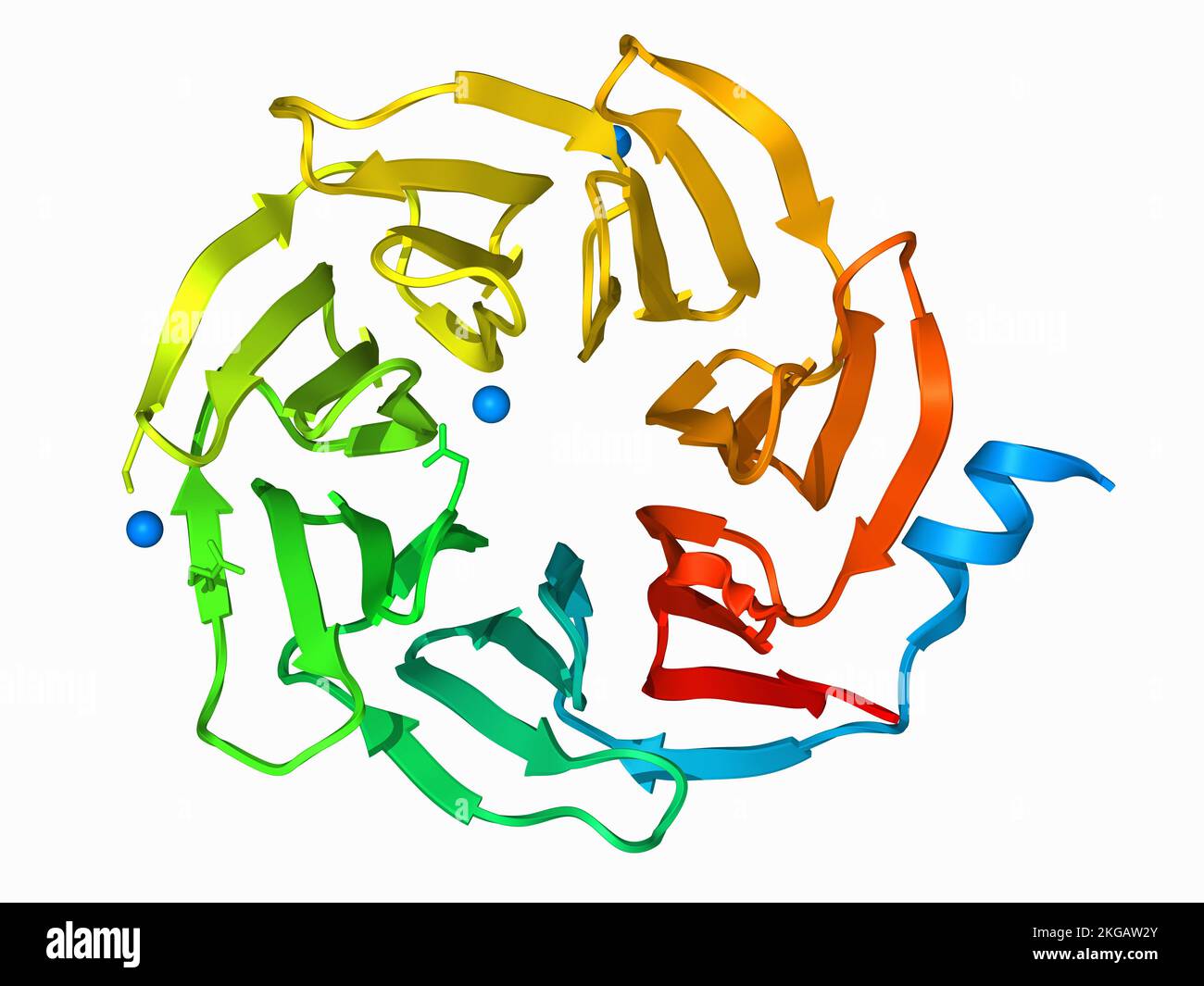 Human UTP15, molecular model. The image shows UTP15, a U3 small ...