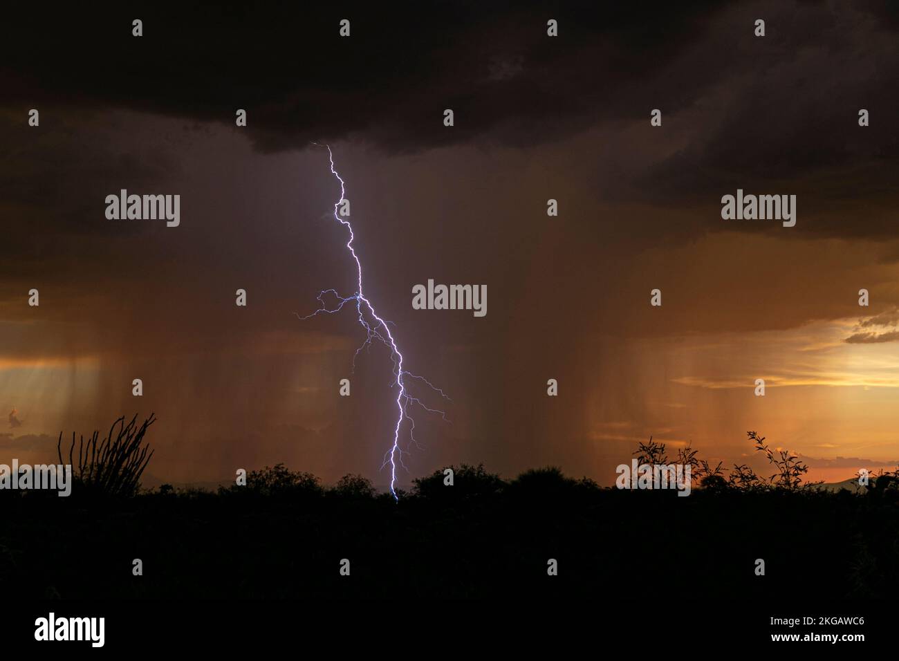 Intense lightning strike from a monsoon thunderstorm at sunset near ...