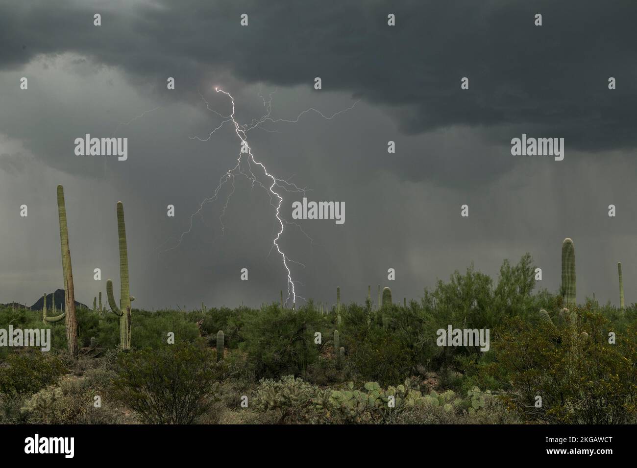Intense lightning strike from a monsoon thunderstorm near Tucson ...