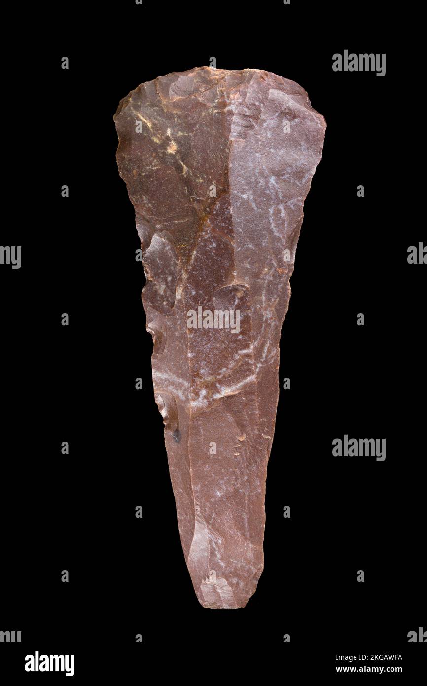 Neolithic period stone tool from North Africa. This tool measures 10.5 ...