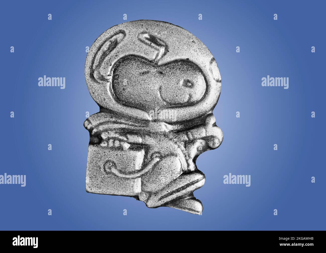 Nasa Flight Awareness Award S