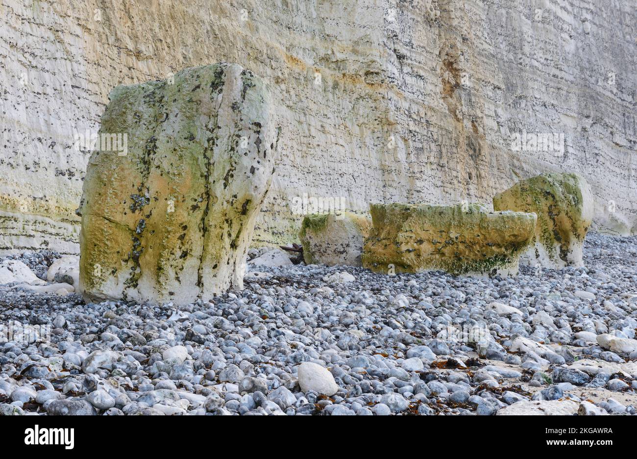 Chalk flint rocks on the beach, Étretat, Alabaster Coast, La Côte d ...