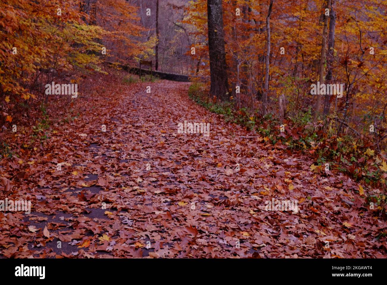 Tyler state park hi-res stock photography and images - Alamy