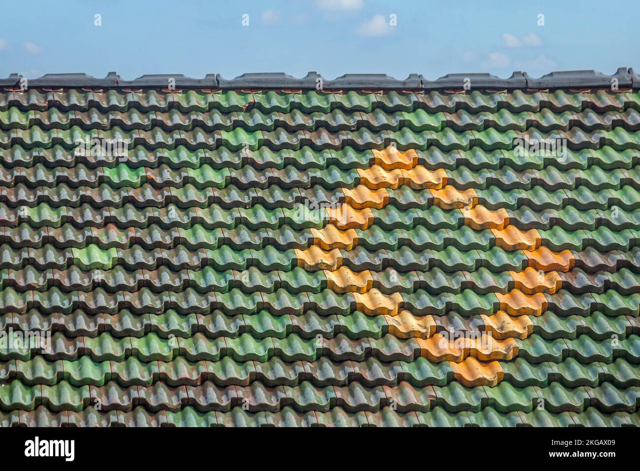 House roof with colourful roof tiles, roof tiles, Palatinate, Rhineland ...
