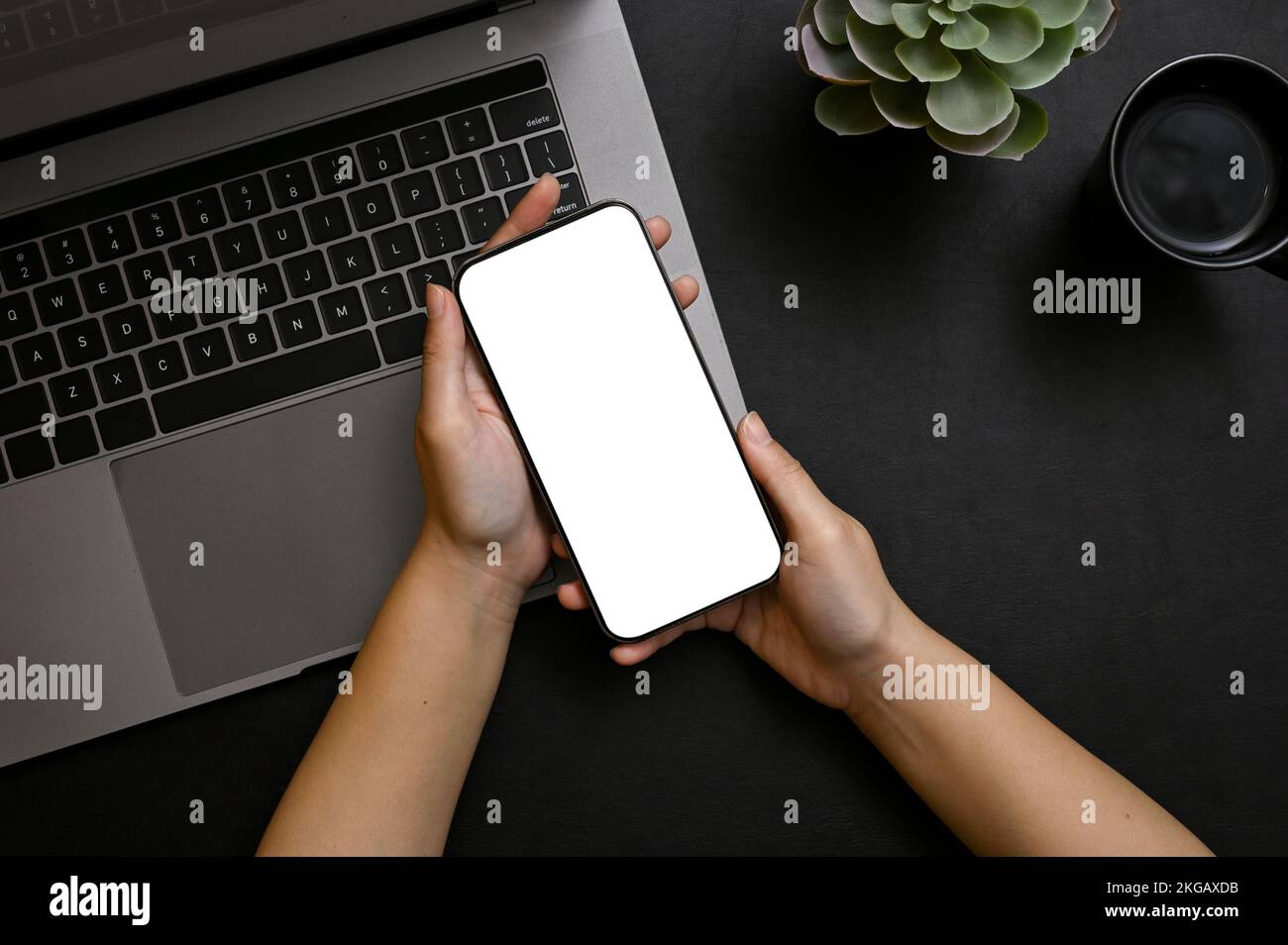 Top view, A smartphone white screen mockup is in a female's hands over ...