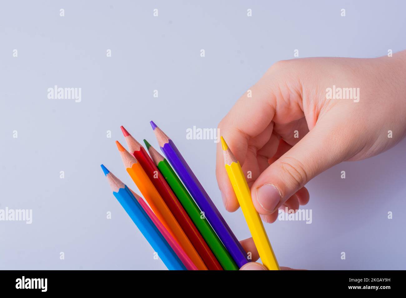 Hand holding color Pencils placed on a white background Stock Photo - Alamy