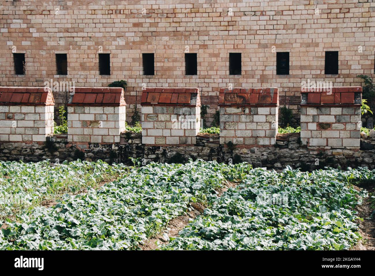 The ancient city walls of Constantinople in Istanbul, Turkey, Asia ...
