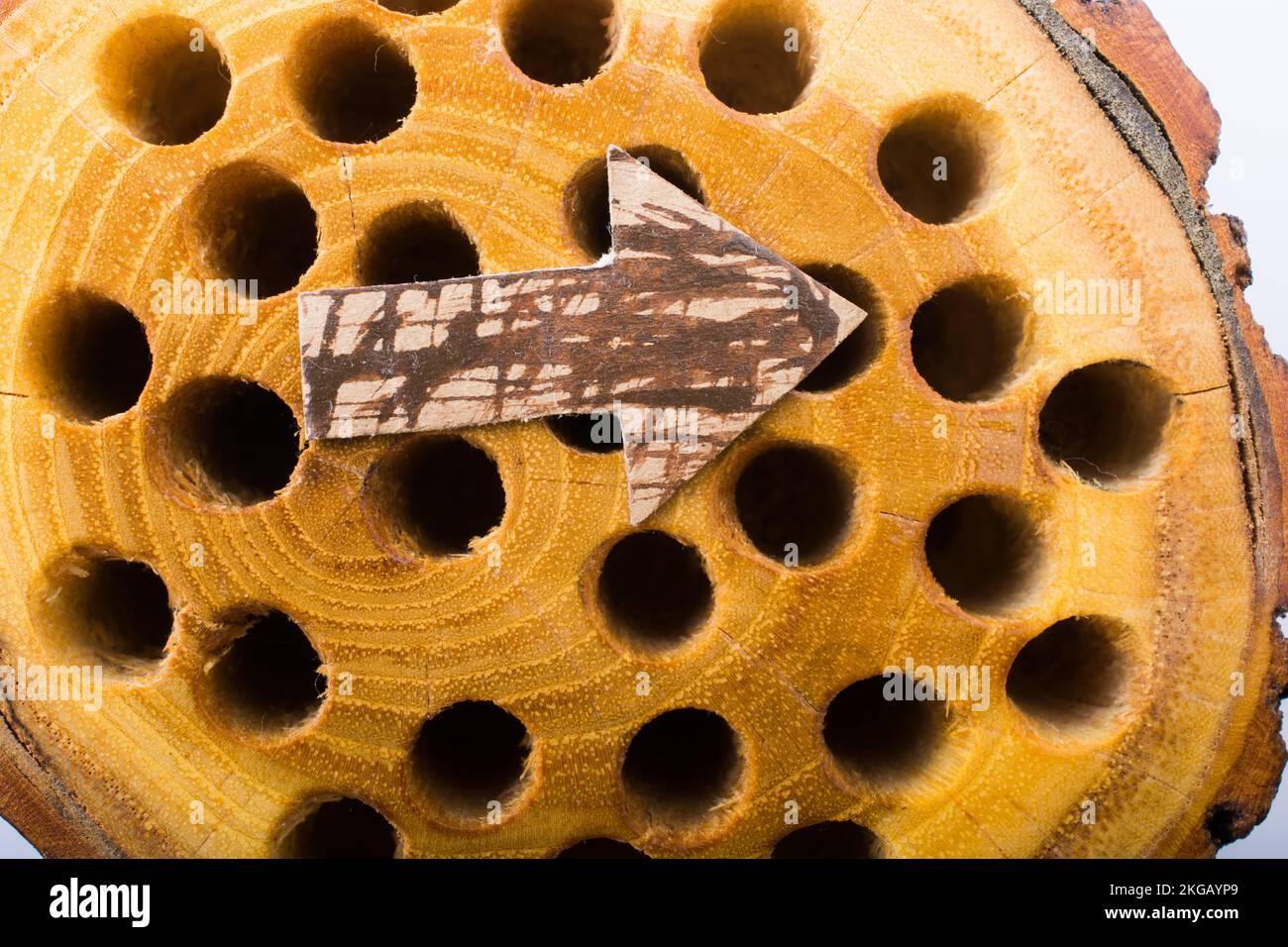 Arrow cut out of brown paper on wooden log Stock Photo - Alamy