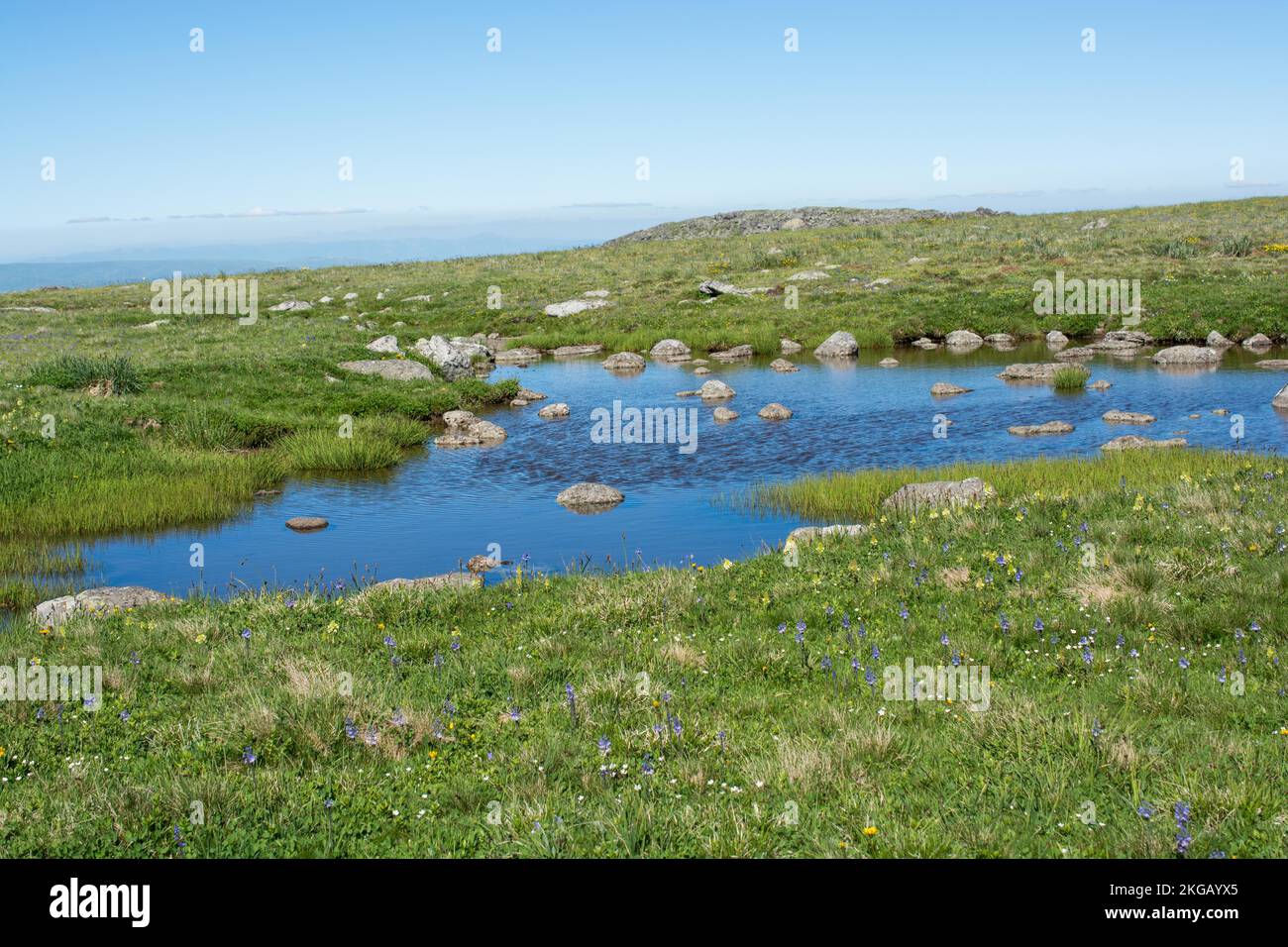 Highland lake in green natural background in Artvin province of Turkey ...