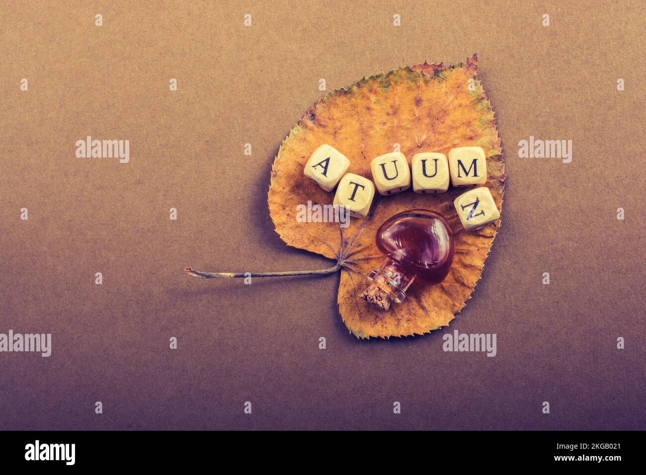 Autumn or fall composition or concept and word Autumn Stock Photo - Alamy