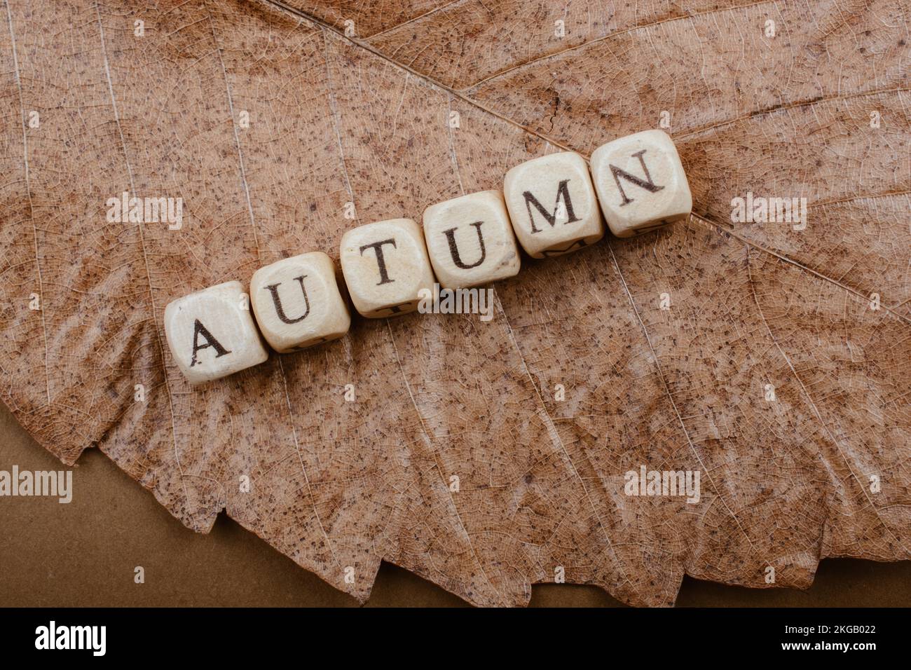 Autumn or fall composition or concept and word Autumn Stock Photo - Alamy