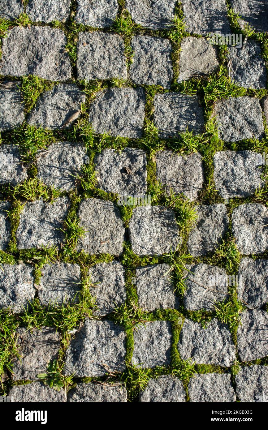 Cobblestone stone pavement background texture on the street Stock Photo ...
