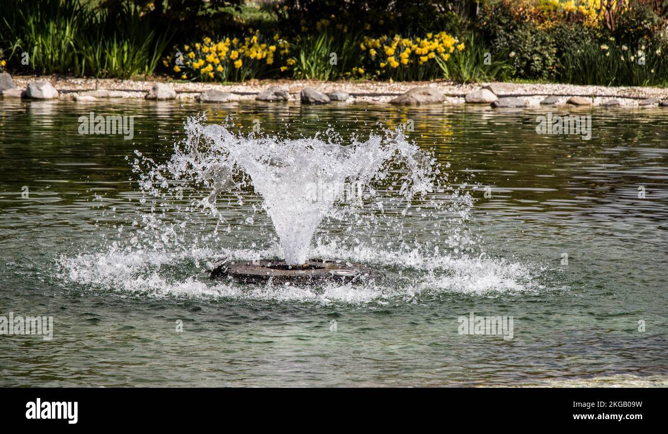 The fountains gushing sparkling water in a pool in a park Stock Photo ...