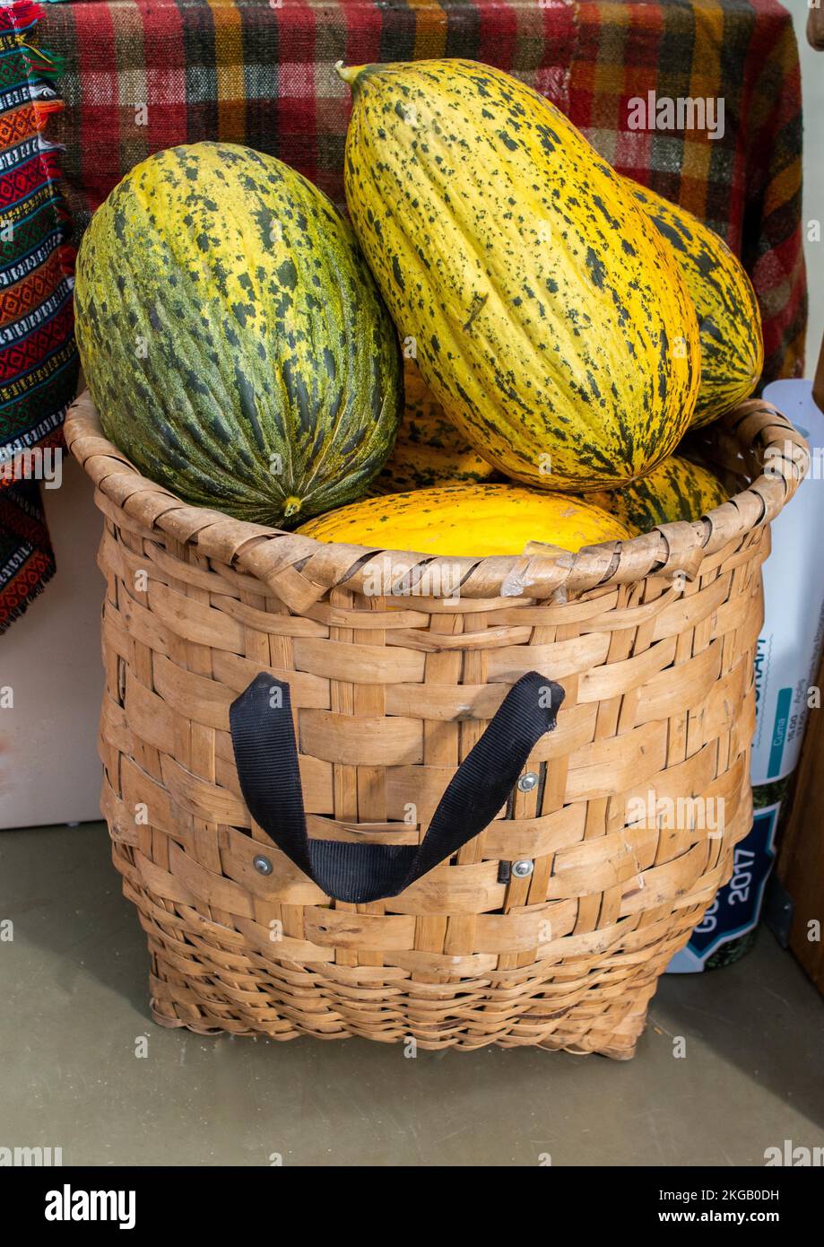 Green speckled melons in a straw basket in the view Stock Photo - Alamy