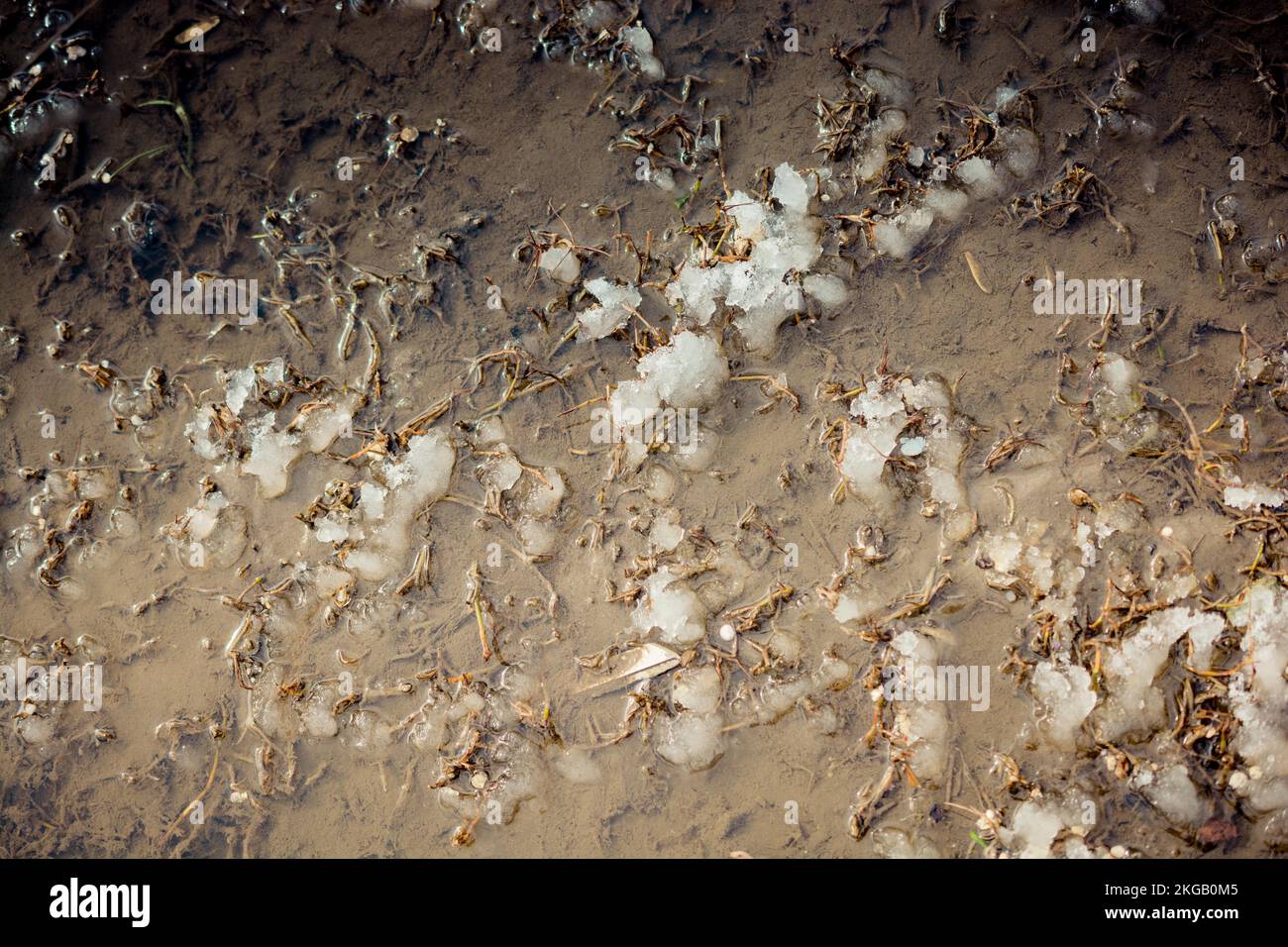 White snow on a rocky and muddy surface Stock Photo - Alamy