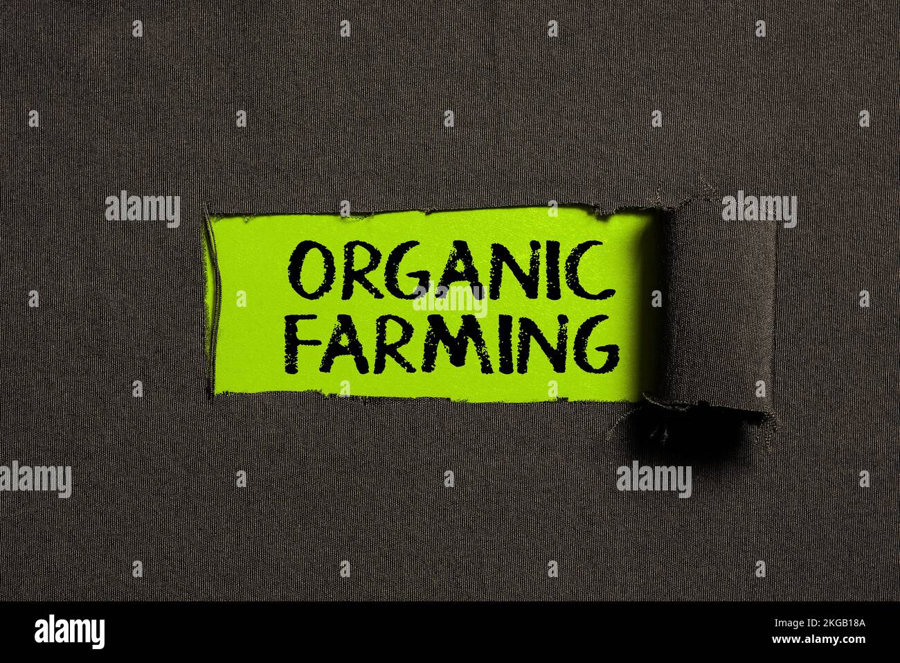 Conceptual display Organic Farming. Business showcase agricultural ...