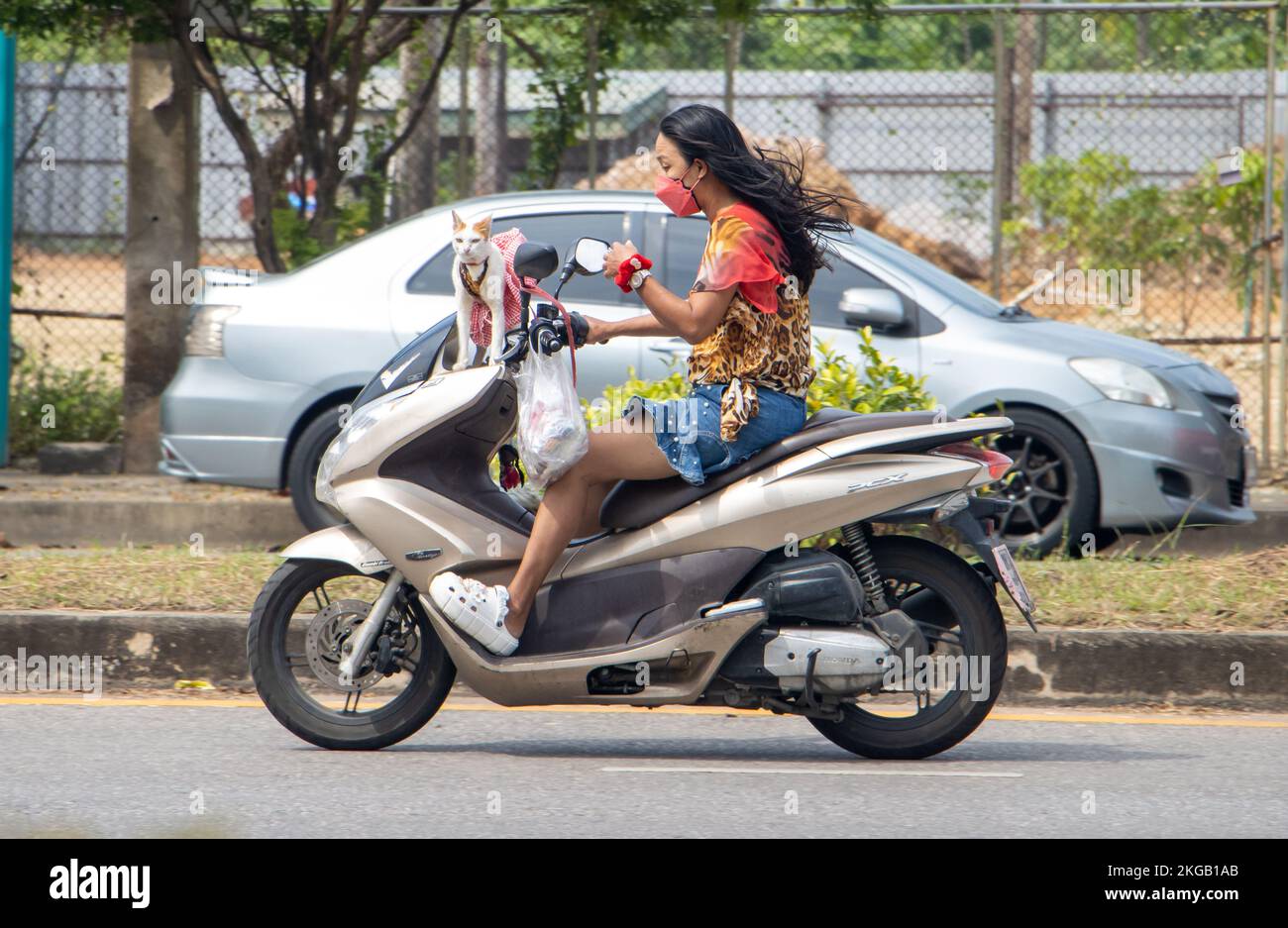 RATCHABURI, THAILAND, NOV 16 2022, A woman drives a motorcycle with a ...