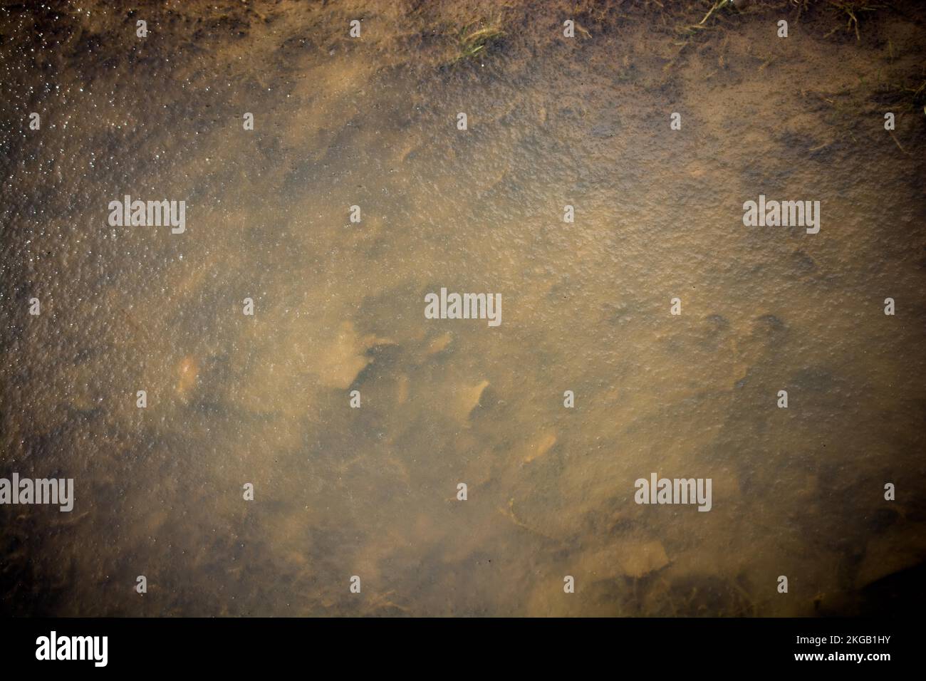 Frozen small water body in the cold winter Stock Photo - Alamy