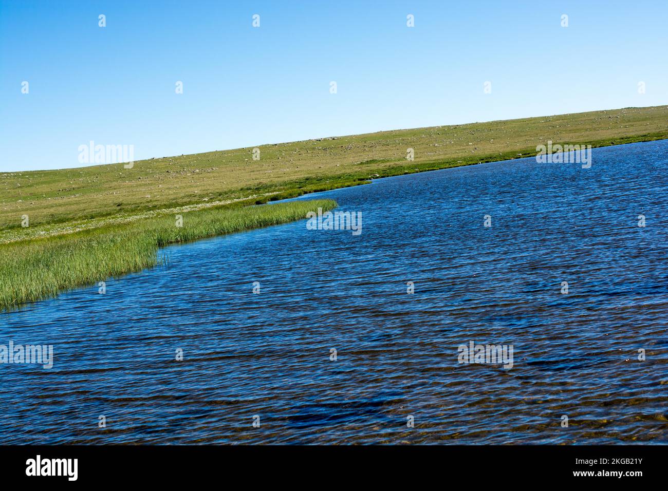Highland lake in green natural background in Artvin province of Turkey ...