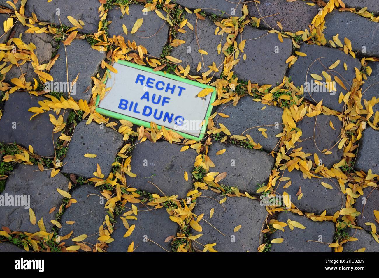 Paving stones with inscription Right to education, autumn, leaves ...
