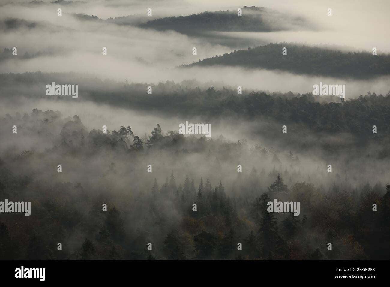 View from Lindelbrunn castle ruin, landscape, fog, mountains, valley ...