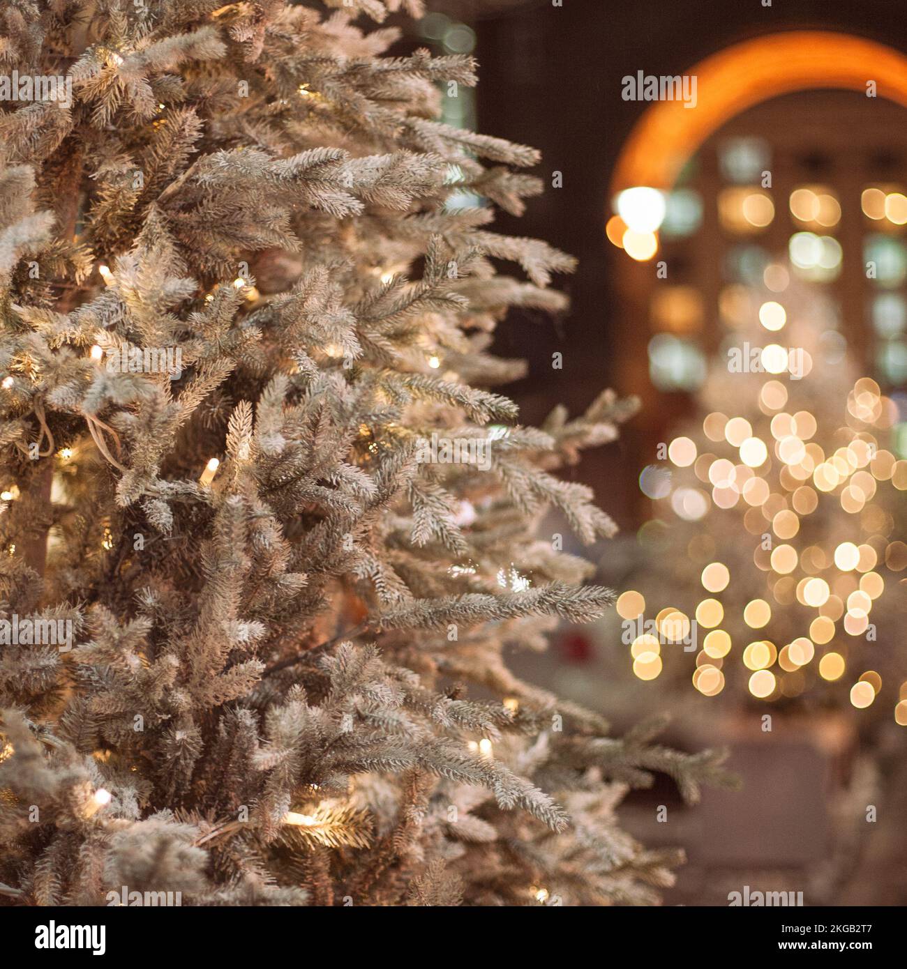 Christmas tree background Stock Photo - Alamy