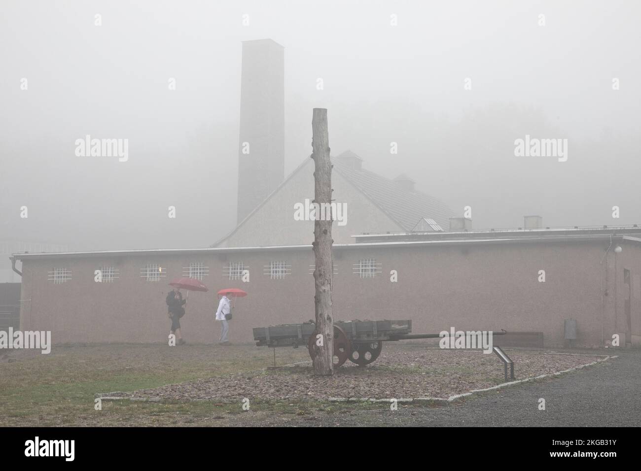 Stake and cart with crematorium in the fog at beech forest ...