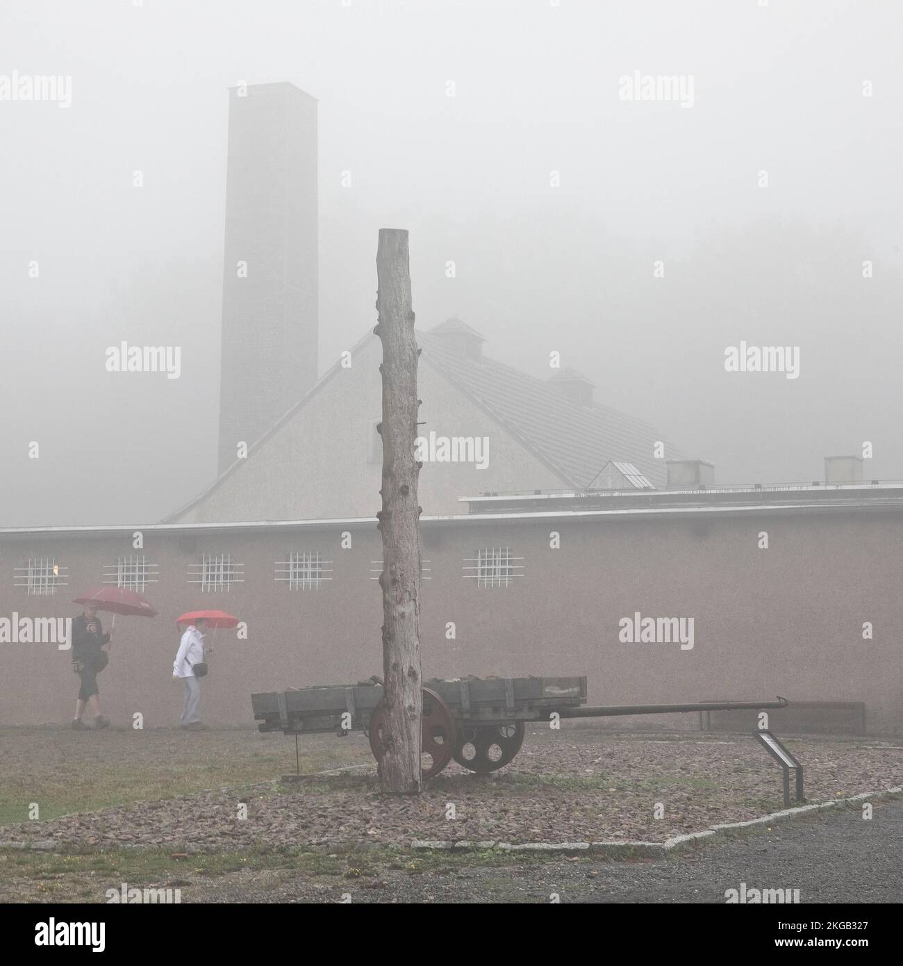 Stake and cart with crematorium in the fog at beech forest ...