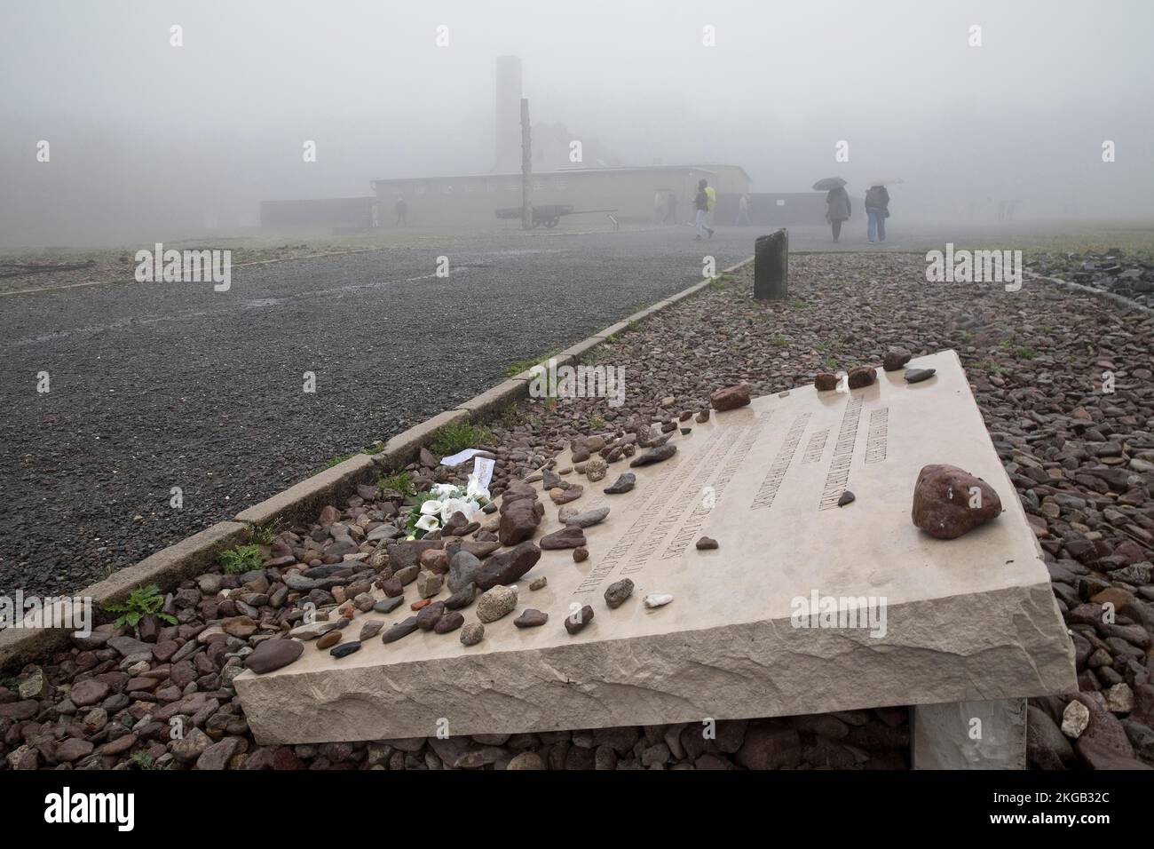 Memorial plaque with crematorium in the fog at beech forest ...
