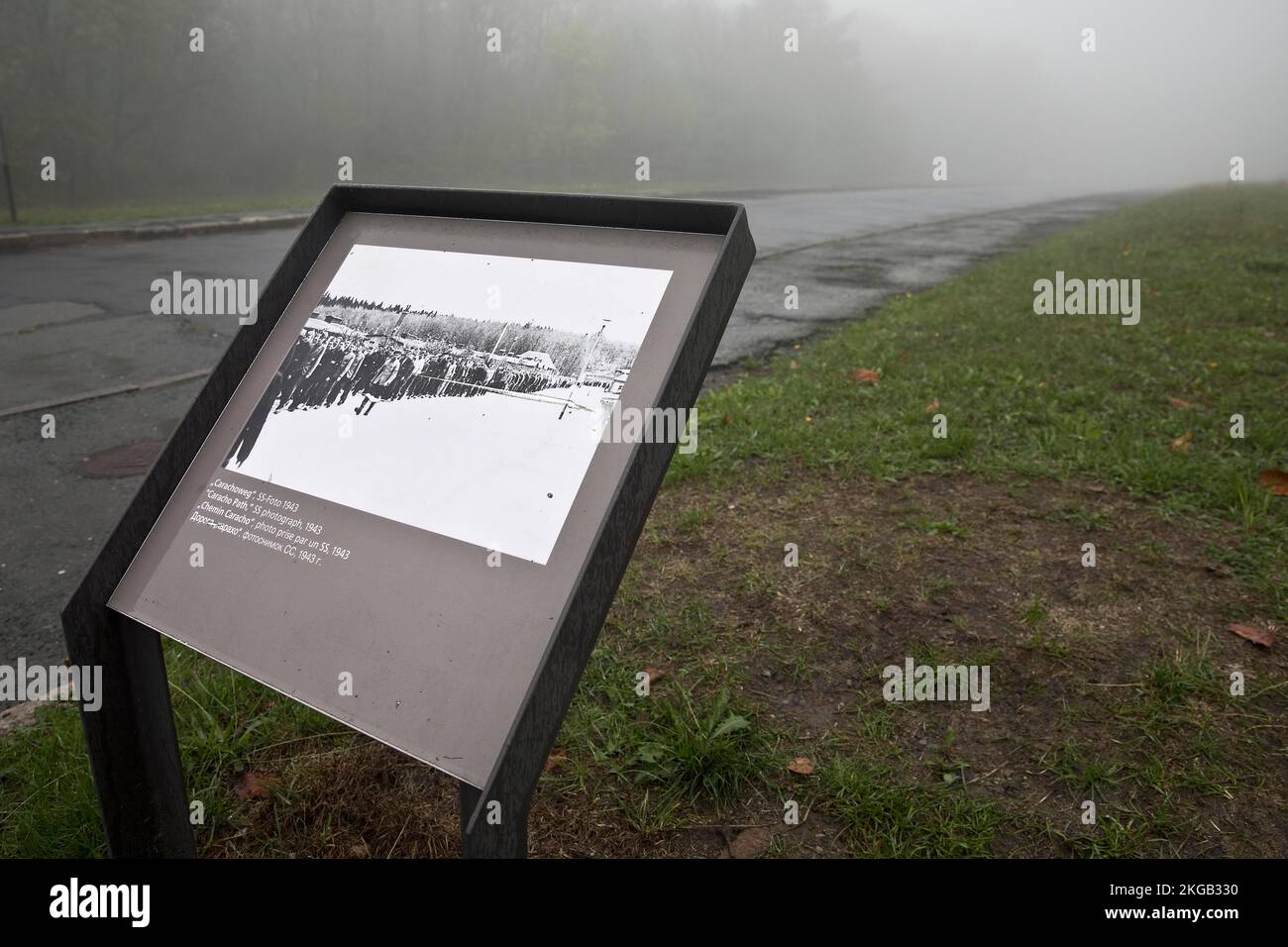 Old photo as a reminder of the Carachoweg in the fog at beech forest ...