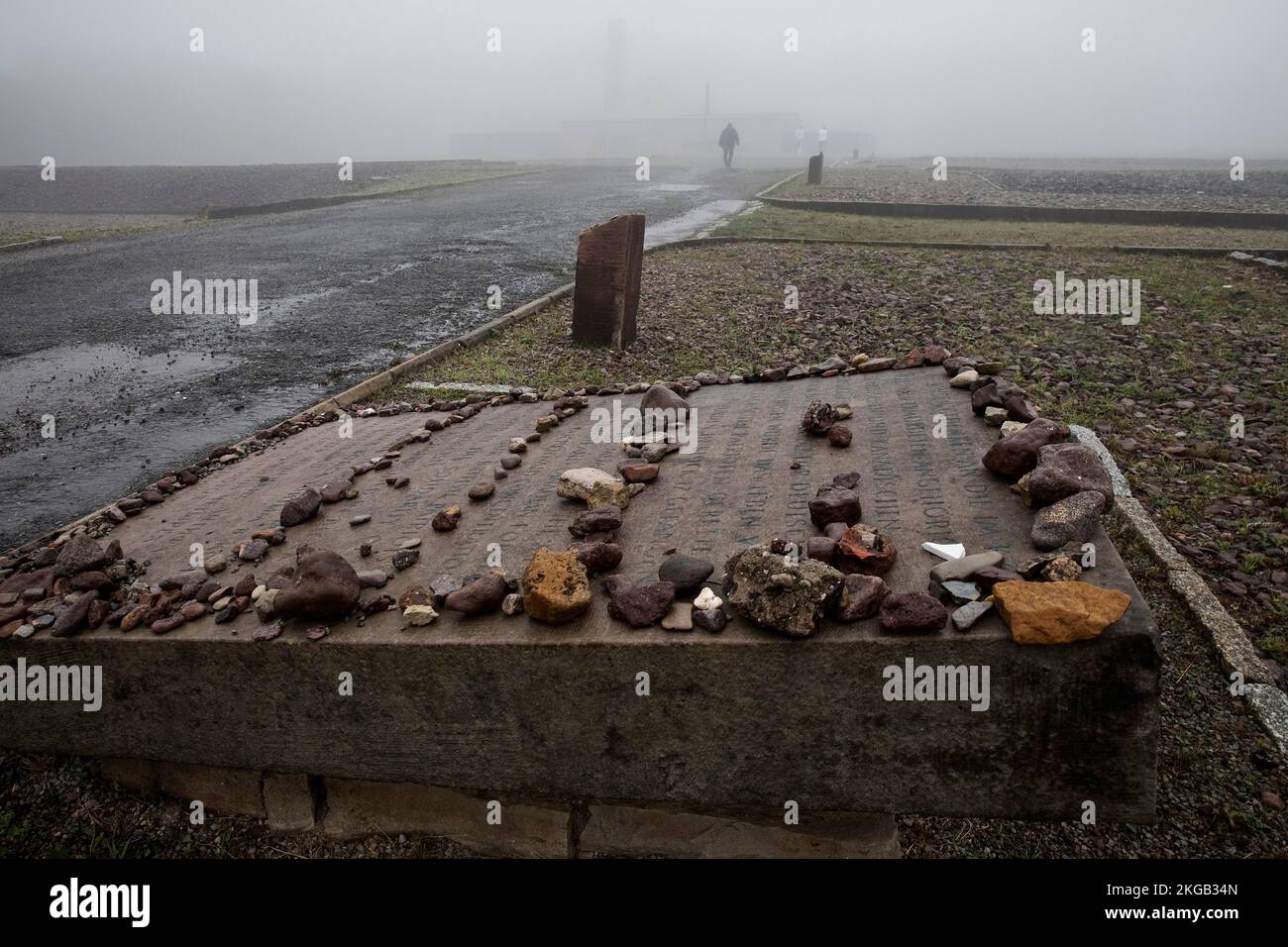 Memorial plaque with crematorium in the fog at beech forest ...