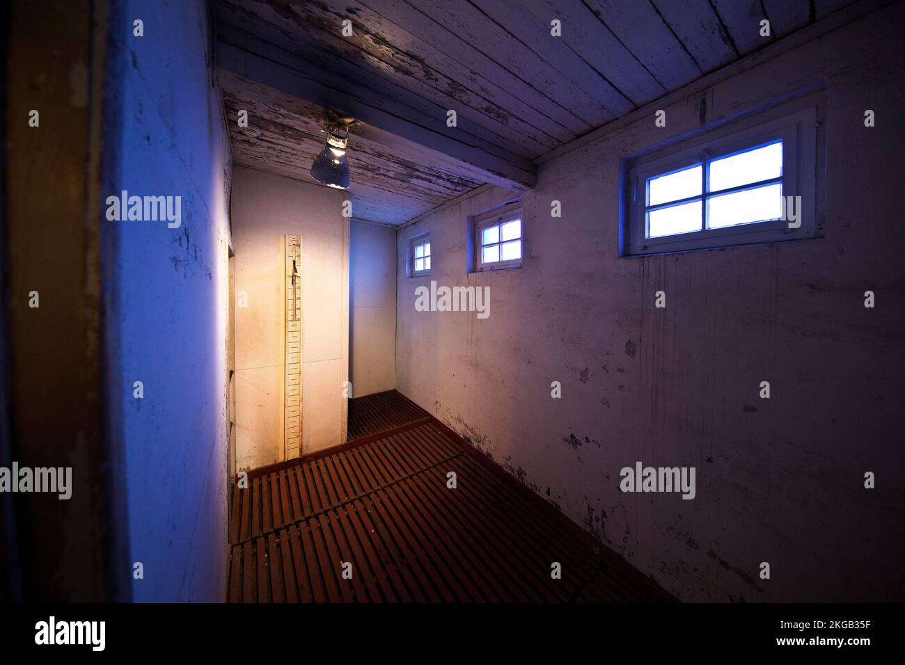 Front side of the neck shooting facility, whereabouts of the person to ...