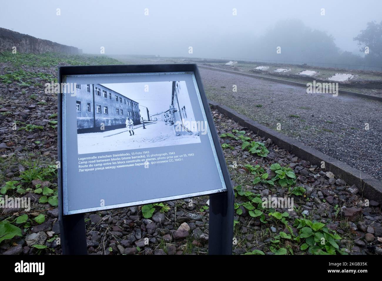 Old photo as a reminder of the camp road at beech forest Concentration ...